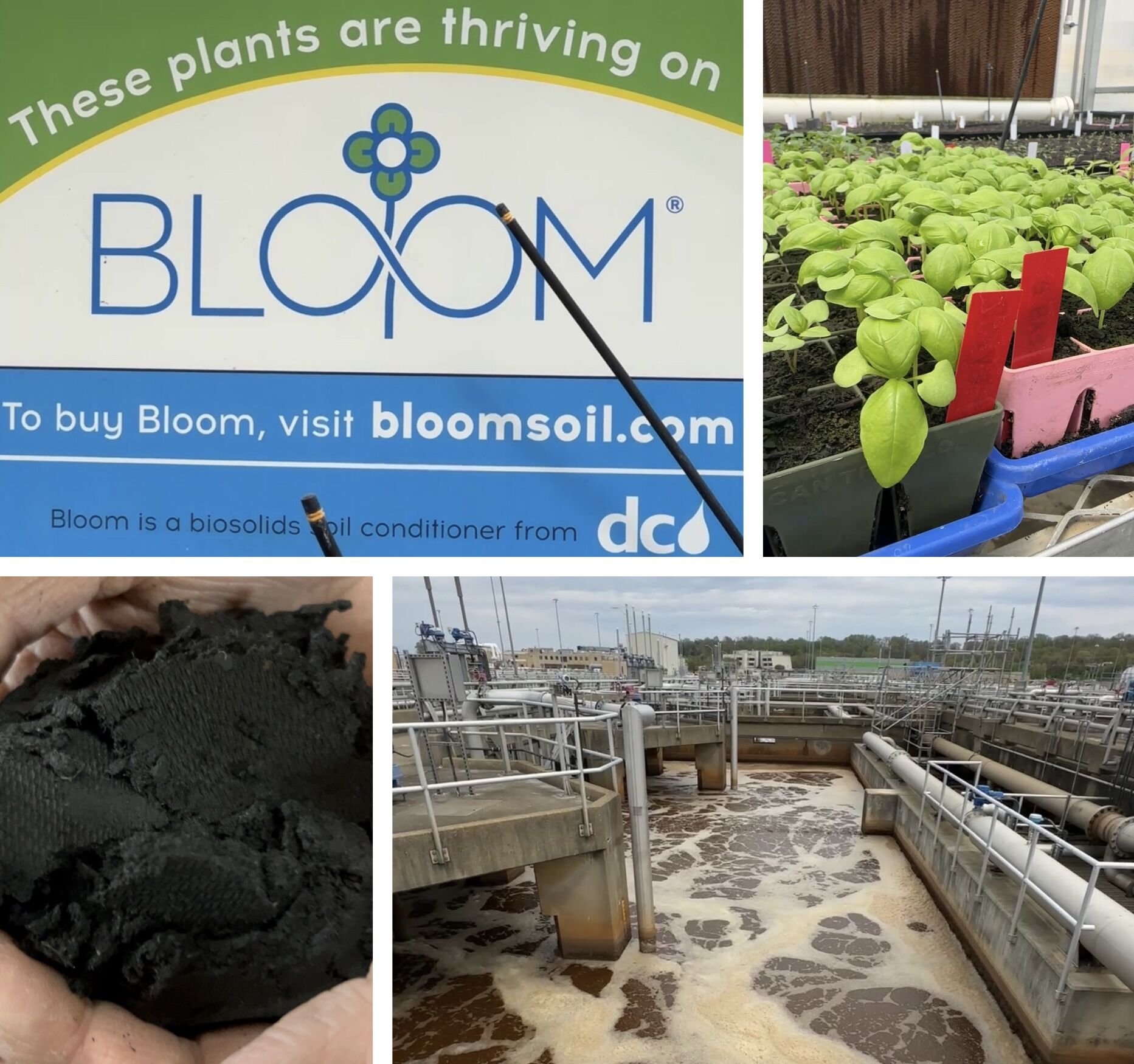 Spring in Bloom: Making fertilizer from every flush in the DC region ...
