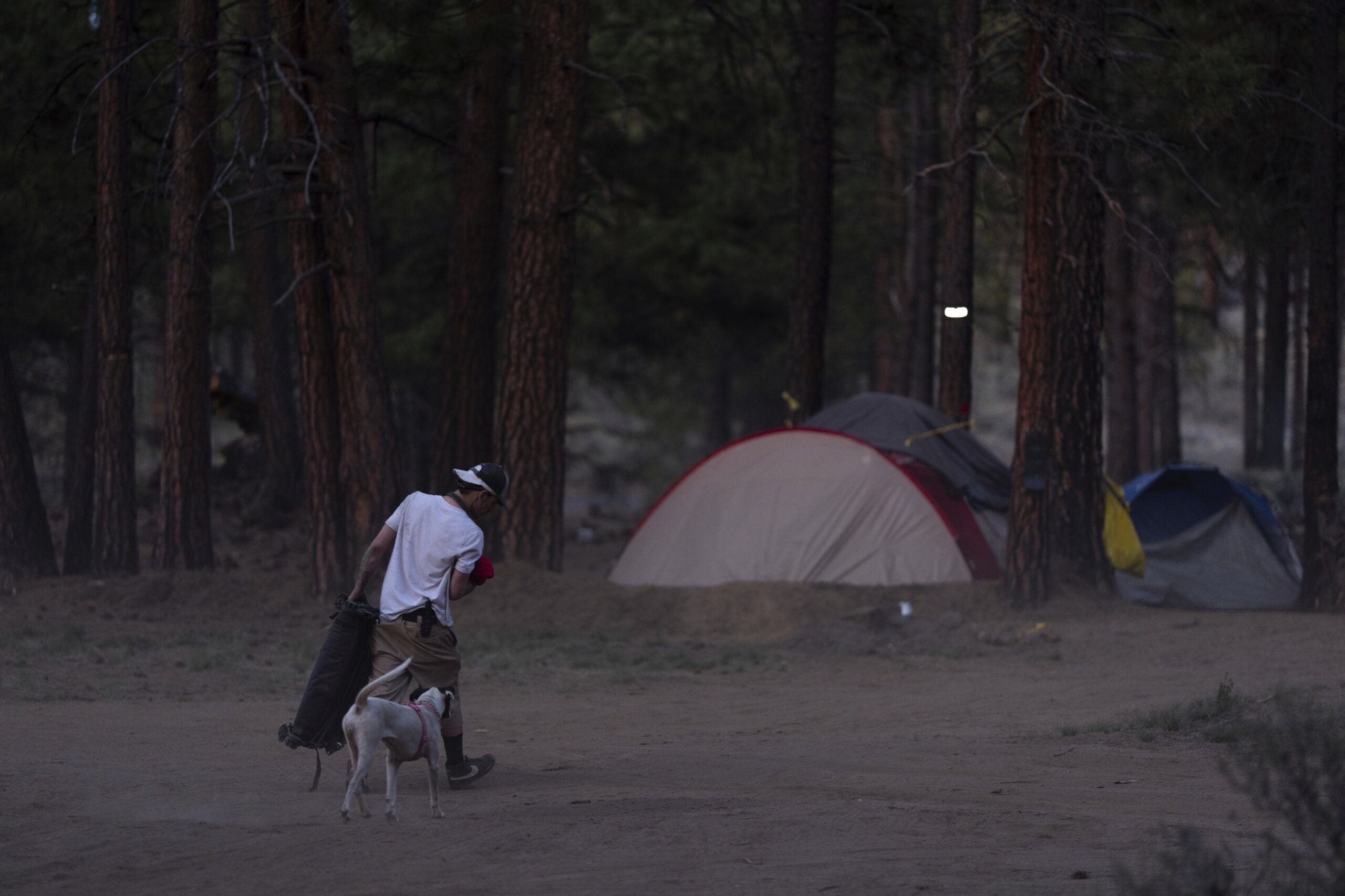 US Forest Service starts clearing homeless camp in Oregon national ...