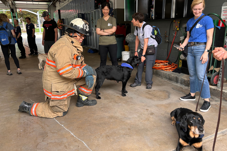 Guide dogs in training get socialized at Montgomery Co. rescue squad ...