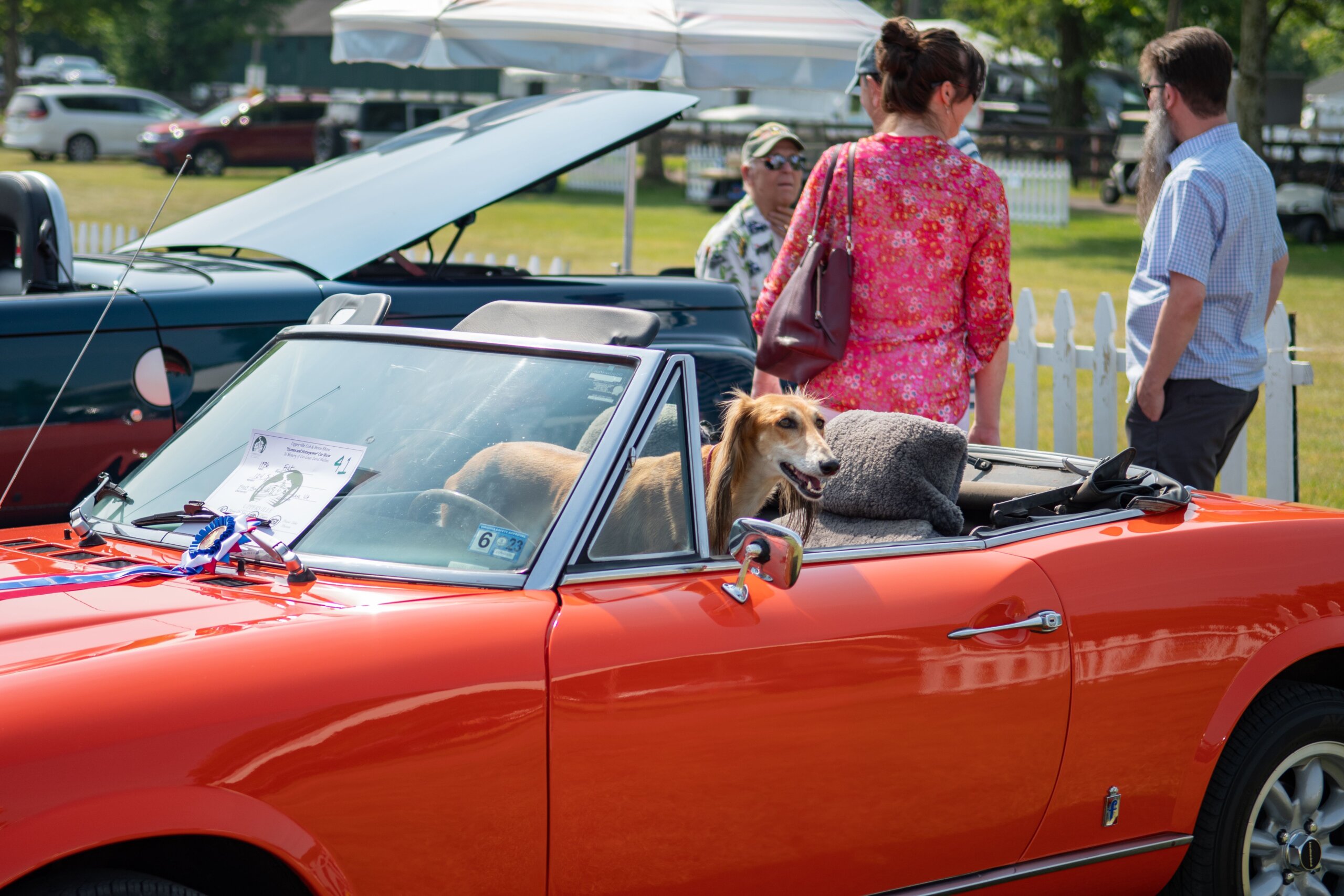 Horses and Horsepower car show returns to Upperville - WTOP News
