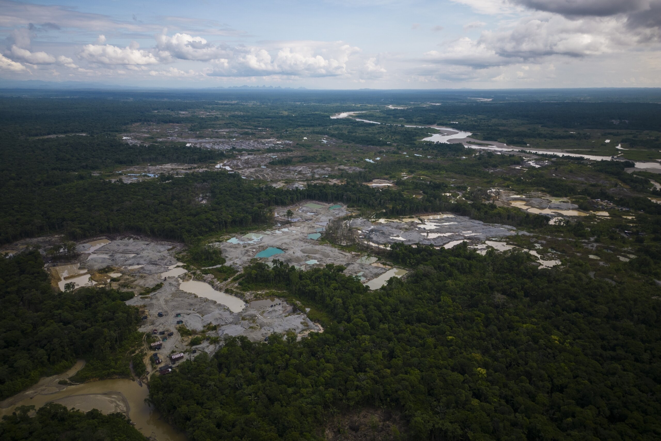 Colombia reports 33% drop in deforestation in early 2025, with major ...