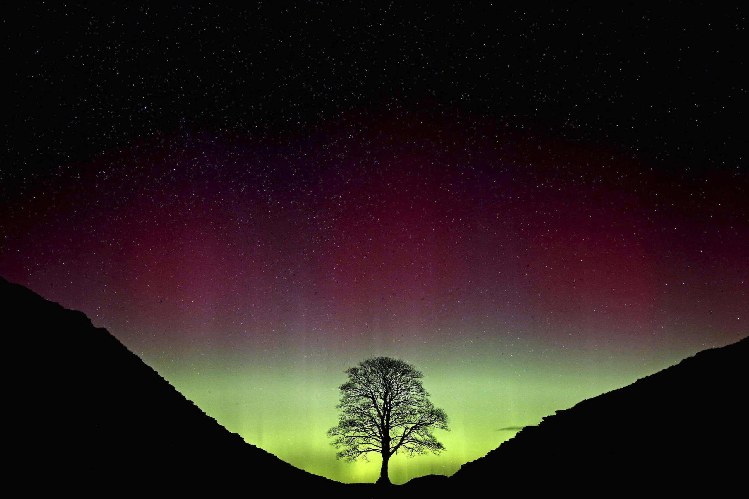 They cut down England’s beloved Sycamore Gap tree. Now they face over 4 ...