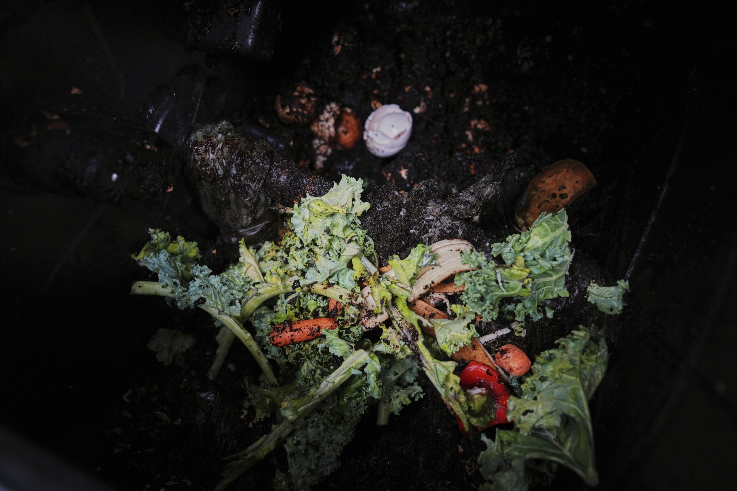 Composting helps the planet. This is how to do it, no matter where you live - WTOP News