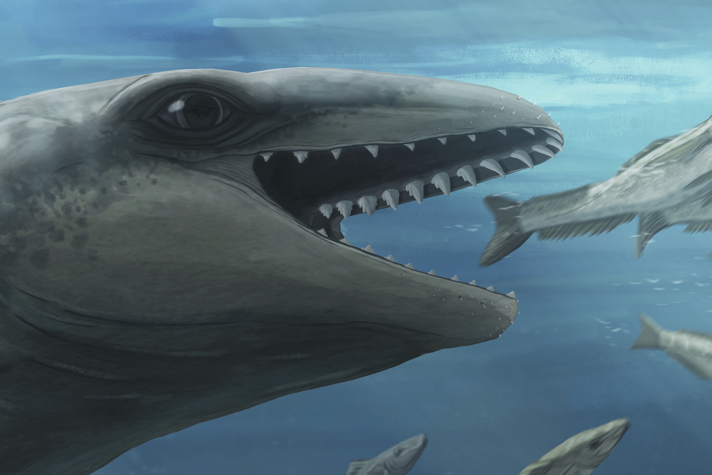 Scientists discover an ancient whale with a Pokémon face and a predator ...