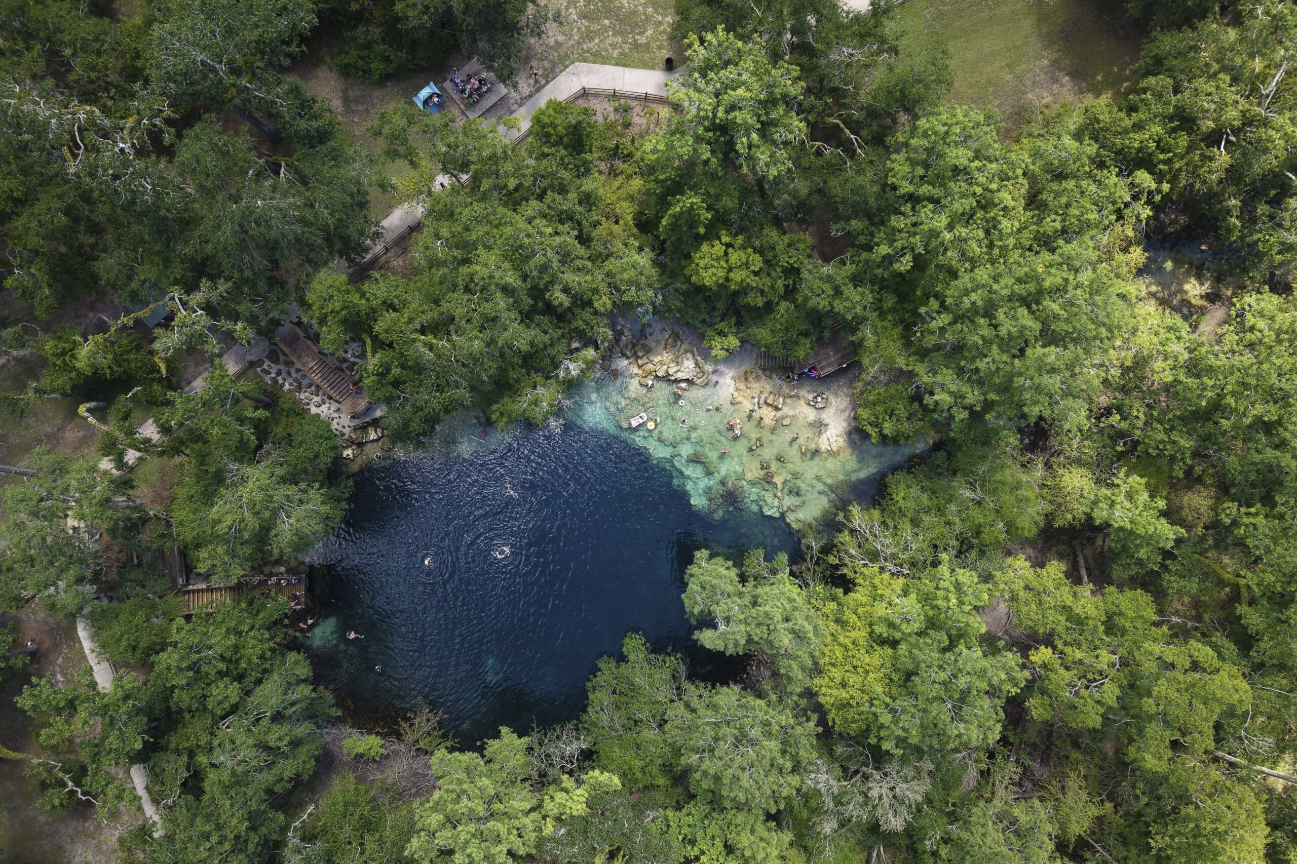 Florida’s once-pristine springs threatened by pollution, development ...