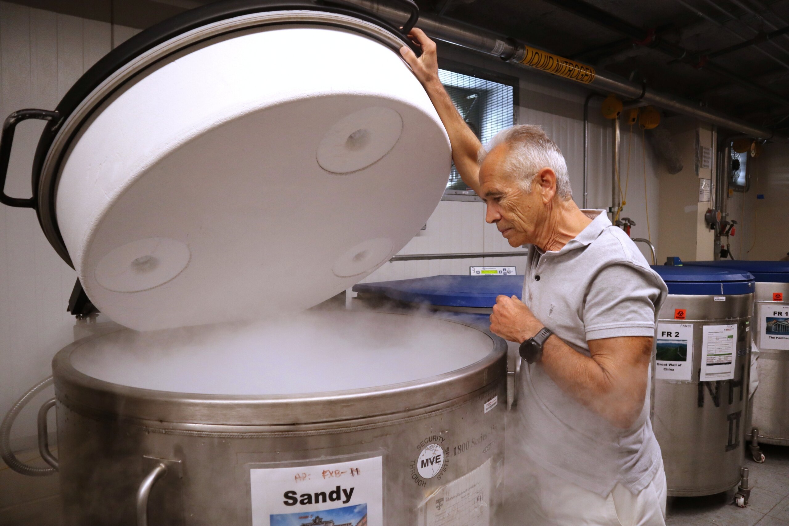 Harvard scientists say research could be set back years after funding ...