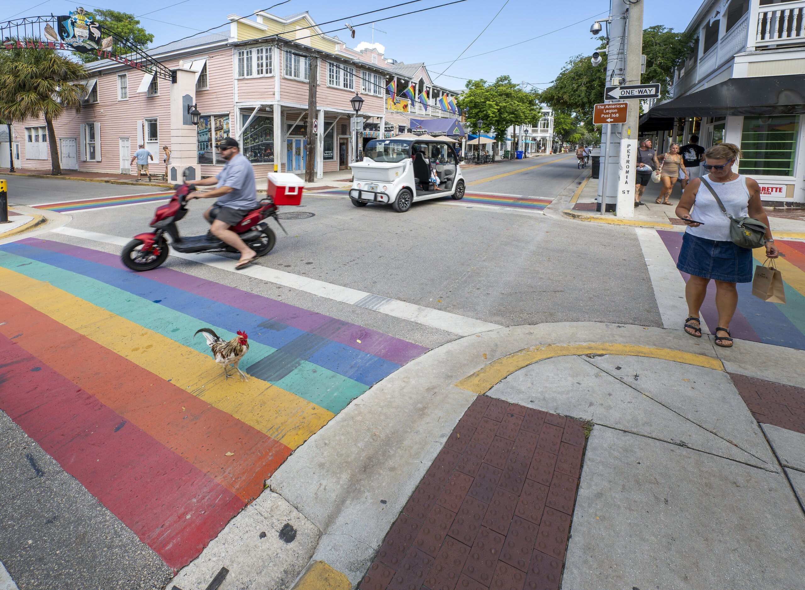 Florida puts rainbow crosswalks in the crosshairs, as cities face ...