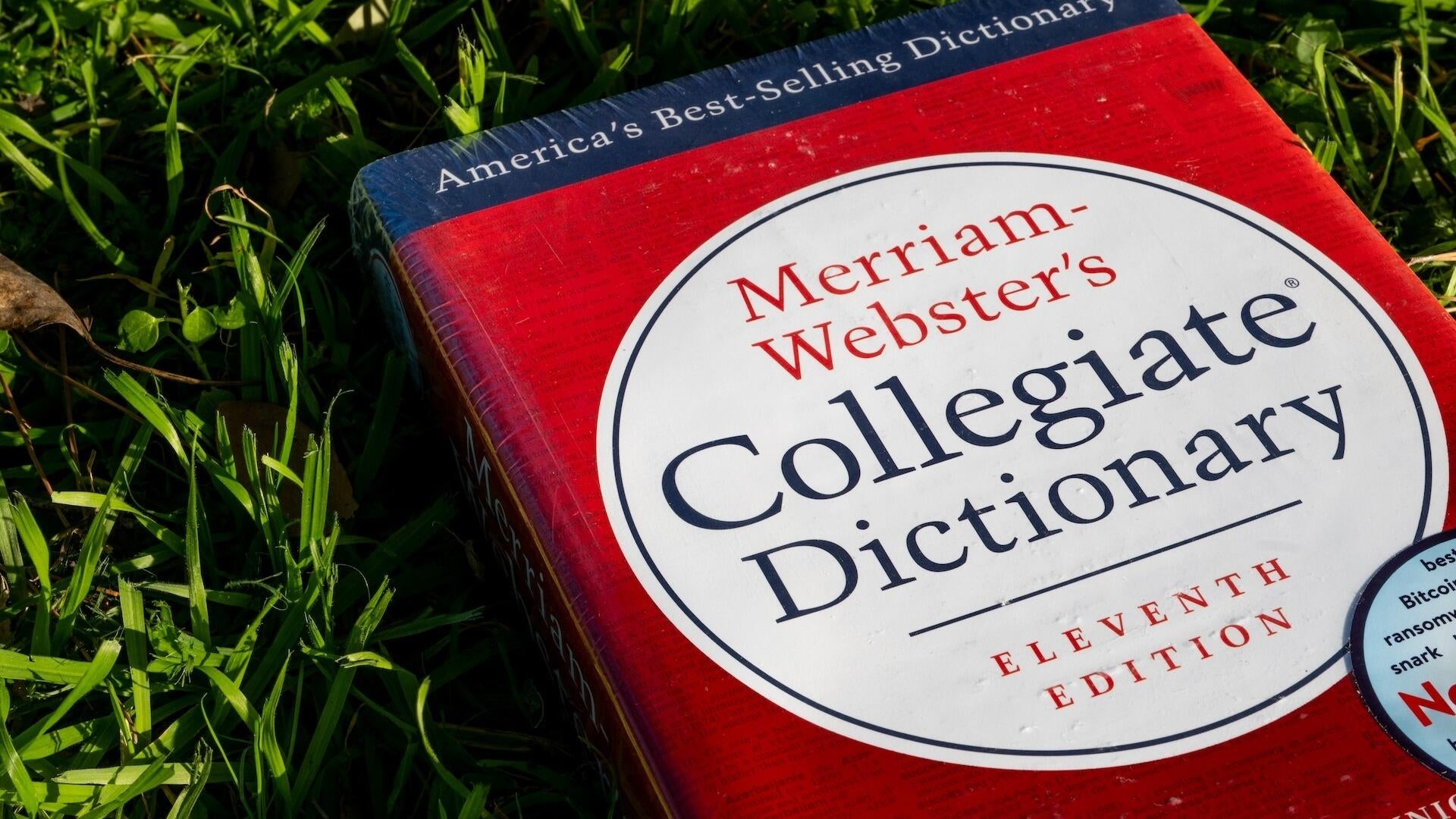 Dictionary.com picks a ‘nonsensical and playfully absurd’ word of the ...
