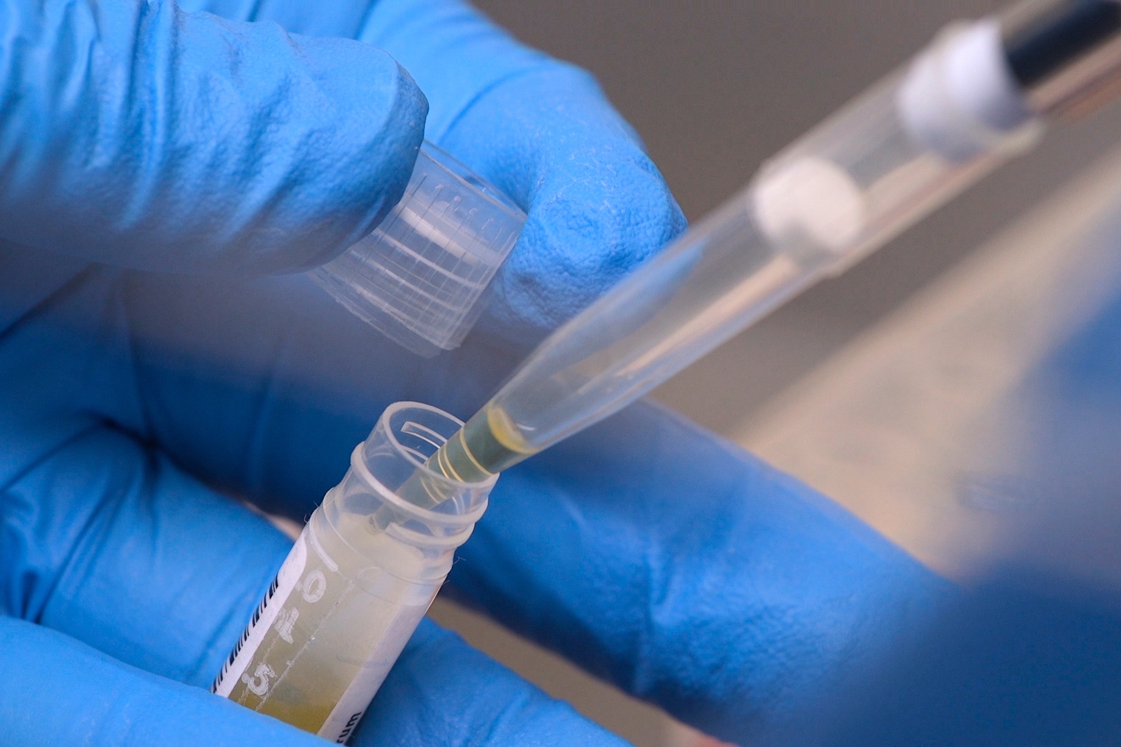 NIH funding cuts have affected over 74,000 people enrolled in ...