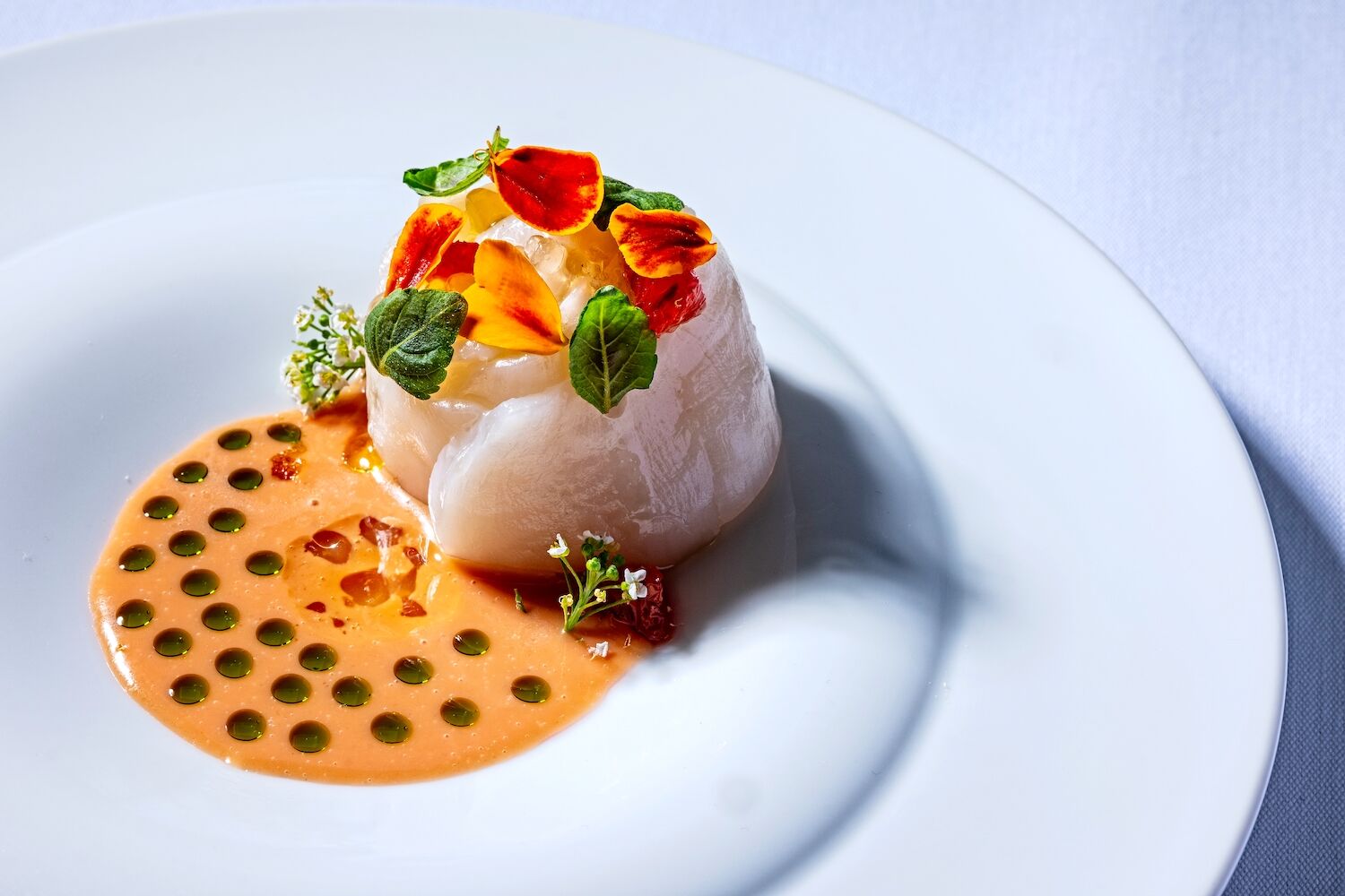 Michelin Guide doesn’t include any new stars for DC restaurants - WTOP News