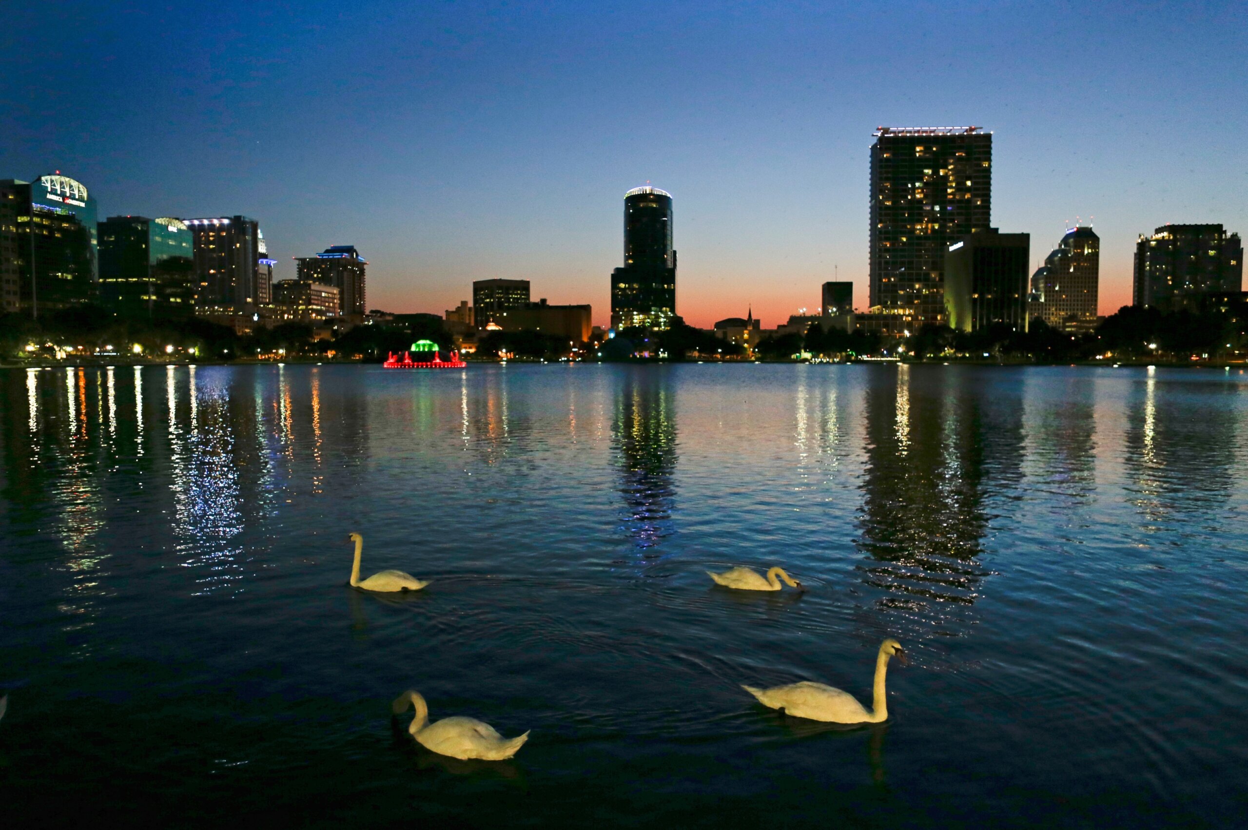 Officials suspect bird flu after 12 swans die at Orlando’s Lake Eola ...