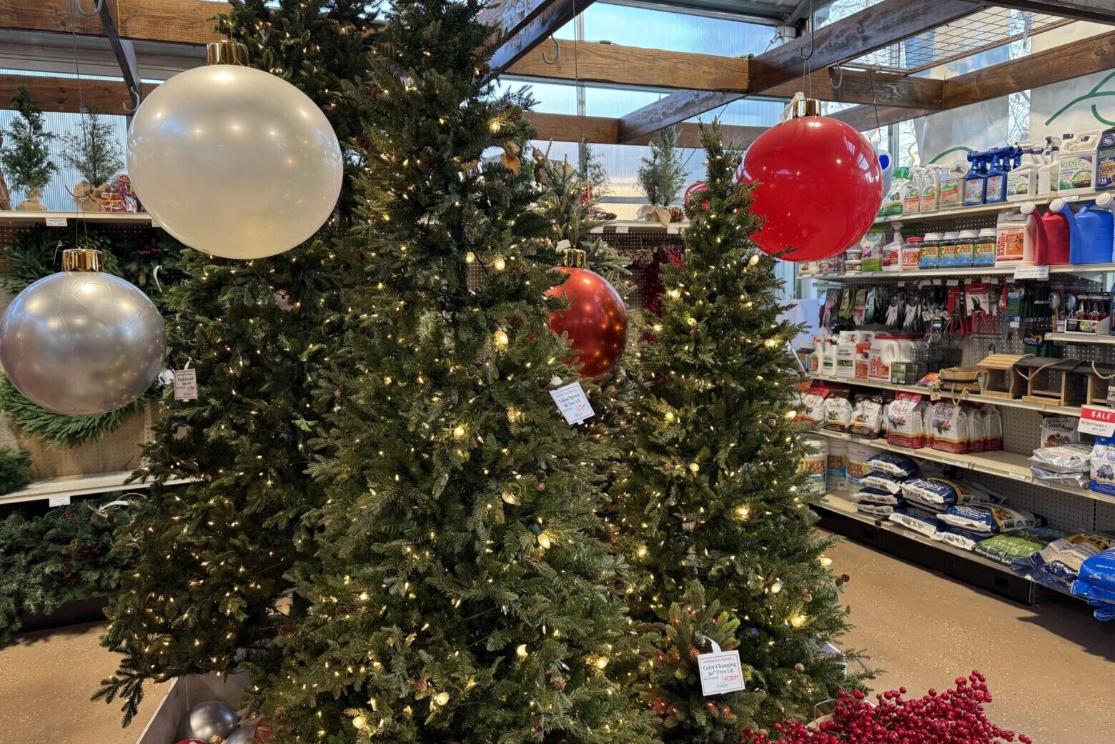 Tariffs add to holiday costs for artificial trees - WTOP News
