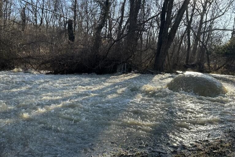 Sewer line collapse triggers wastewater spill into C&O Canal near Clara ...