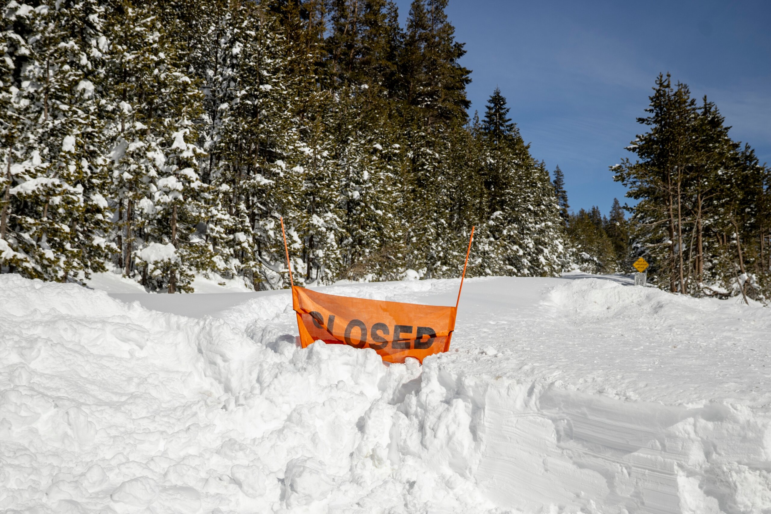 Ski guides in spotlight as investigators probe deadly California ...