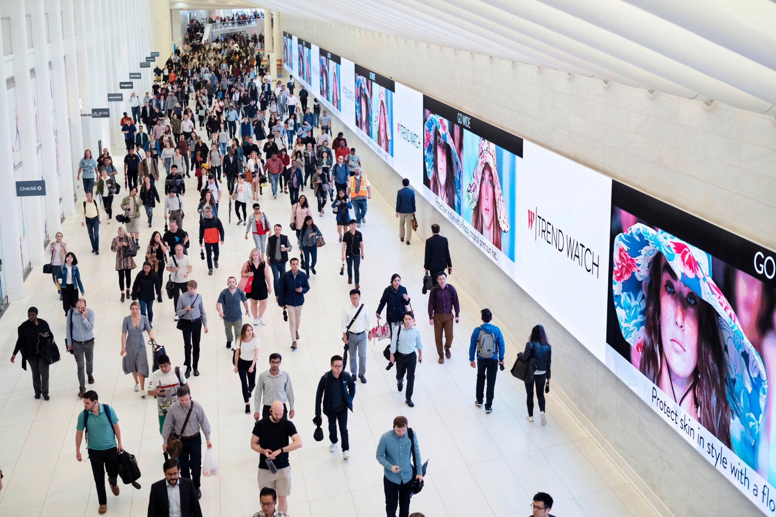 Young Americans’ job market optimism falls as older adults stay upbeat ...